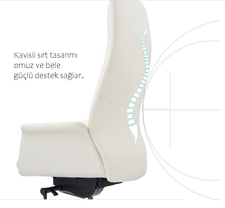 Fairy Executive Chair - Office Chairs and Furniture | Gursan Furniture - Ergonomic and Stylish ...