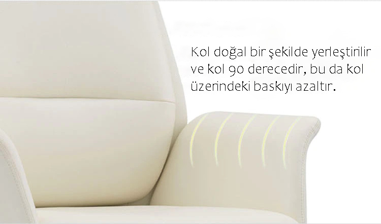 Fairy Executive Chair - Office Chairs and Furniture | Gursan Furniture - Ergonomic and Stylish ...